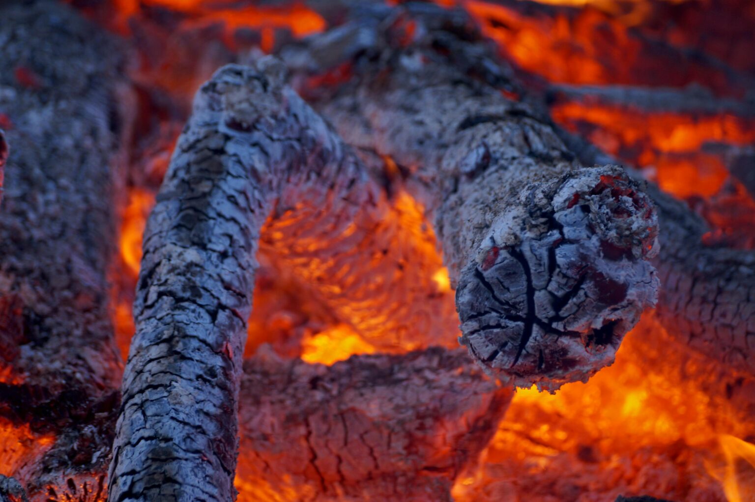 Fire’s net impact on the global carbon cycle - TerraFIRMA